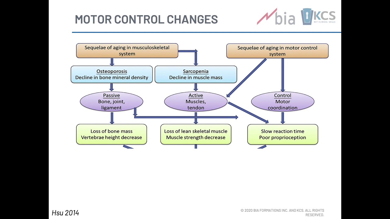 Motor changes control with age - YouTube