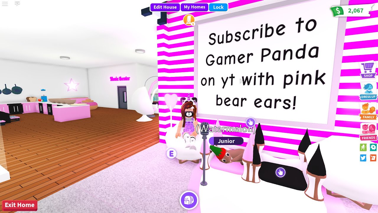 Growing my elf shrew to junior and also trading - YouTube