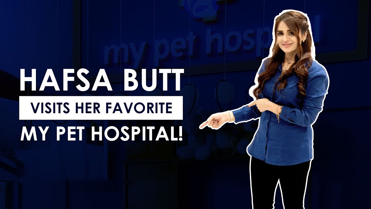 Hafsa Butt Visits Her Favorite My Pet Hospital! - YouTube