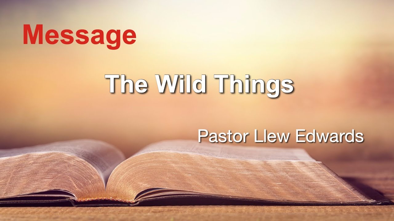 Message: The Wild Things Pr Llew Edwards 11 01 2025 - YouTube
