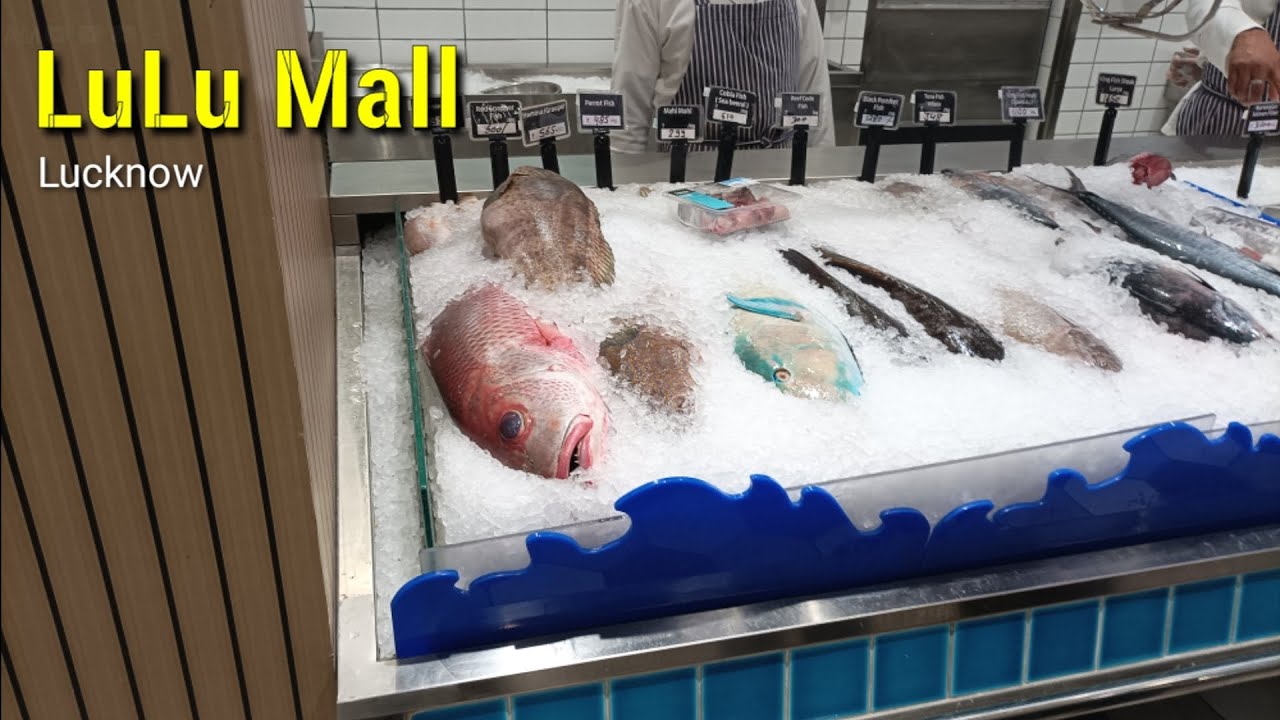 Lulu mall Lucknow vlog | Hyper market of Lulu mall | editable fish ...