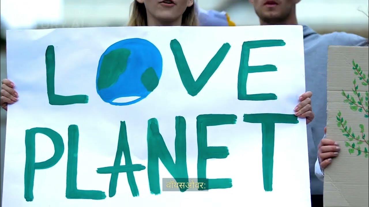 "The Forest Ecosystem: Nature’s Delicate Balance||The Forest Ecosystem ...