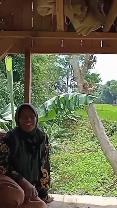 Ibu Tani Lagi Santai Indehoi Di Saung Sawah 👍 #pedesaan #sawah - YouTube