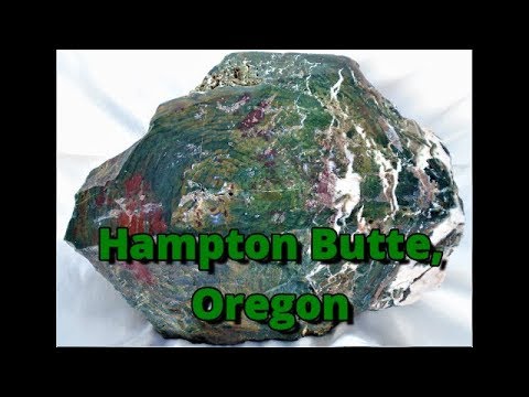 Hampton Butte - Green Petrified Wood - Oregon Rockhounding - YouTube
