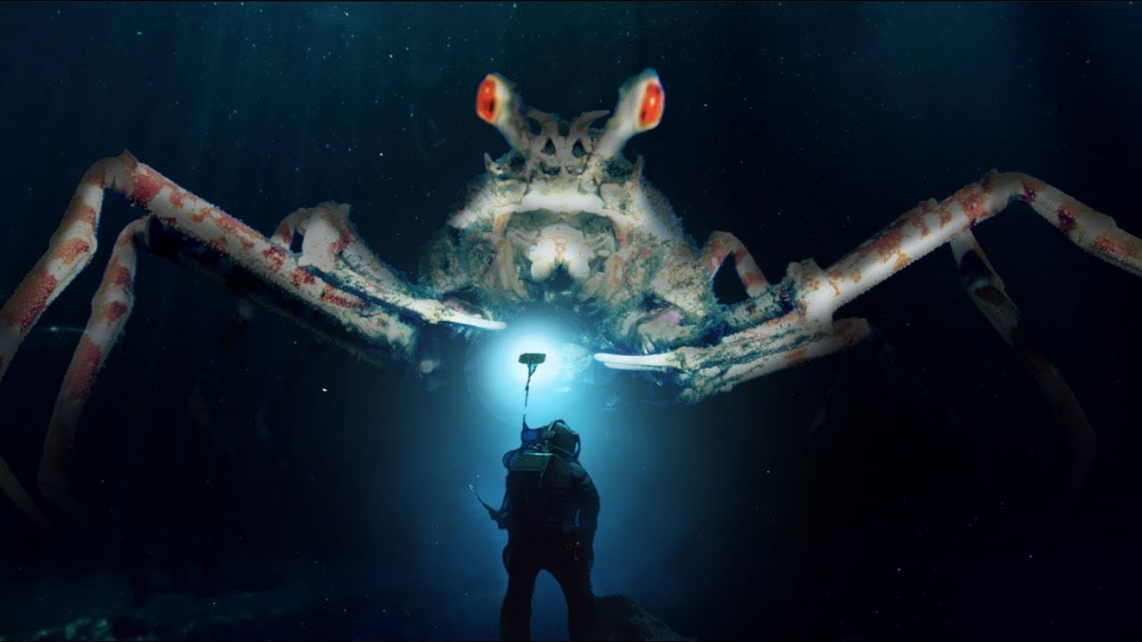 Why Animals Start Getting Bigger As You Go Deeper In the Ocean - YouTube