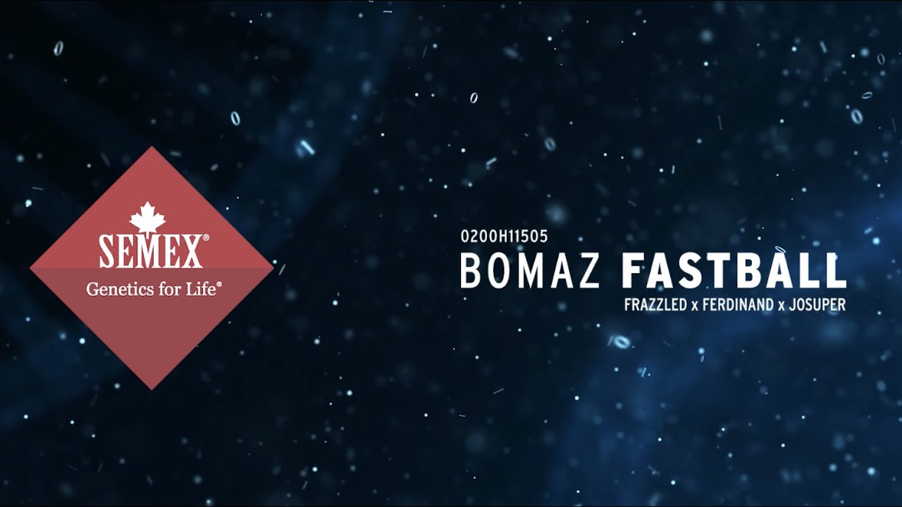 Bomaz Fastball Dtr Stantons Fastball Who Won Jan 2023 - YouTube