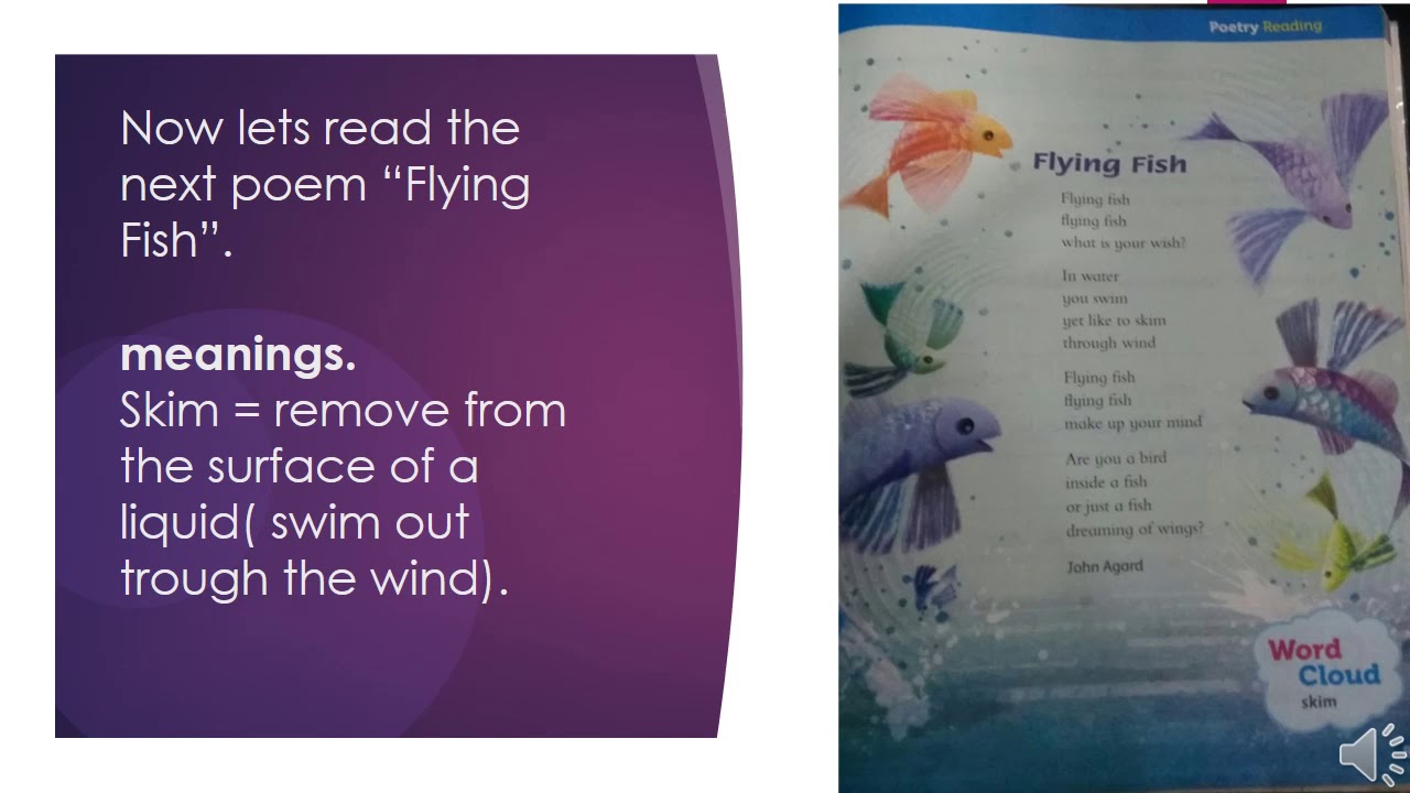 English - 3rd Term - Lesson - The Caribbean Trip. (poems are "I'd like ...