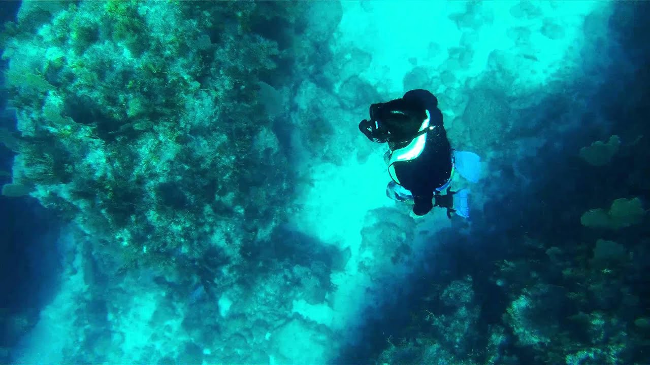 Eagle Ray Alley 2013 - YouTube