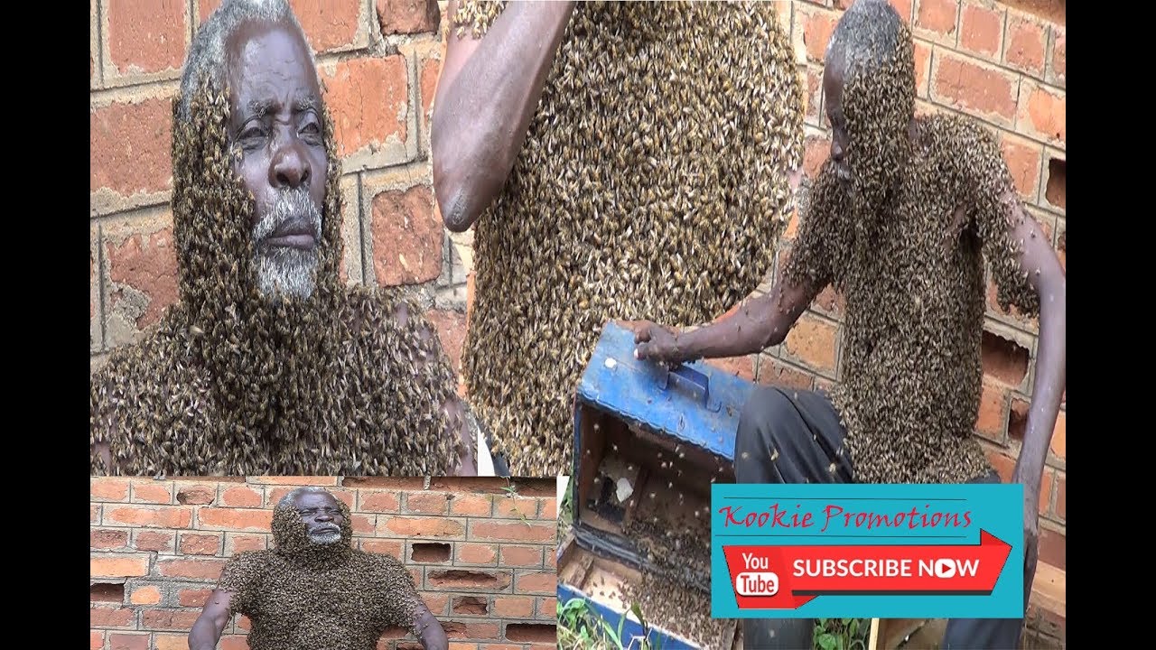 A Man Covered Himself With 2.1 Million Bees When Uganda Cranes Won ...