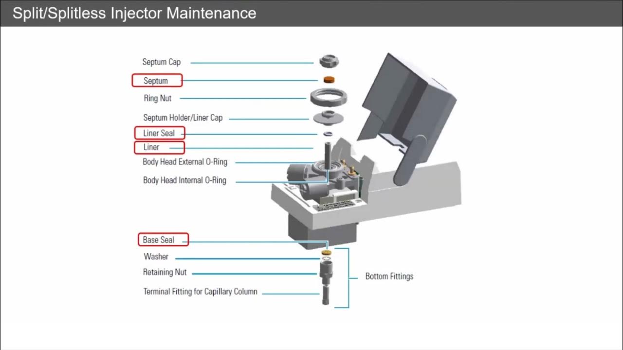 GC & GC-MS Fundamentals – Injection Technique: SSL Injector Maintenance - YouTube