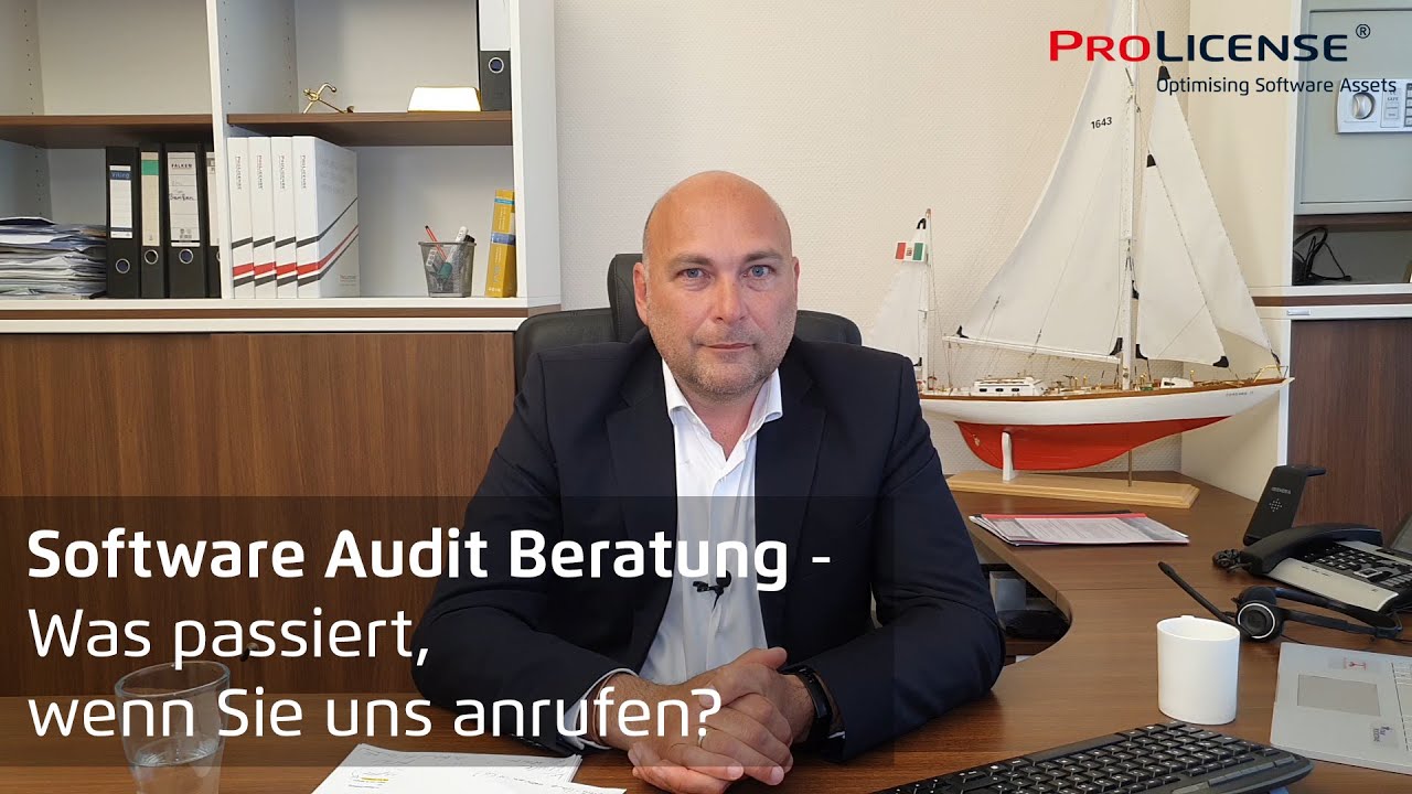 Software Audit