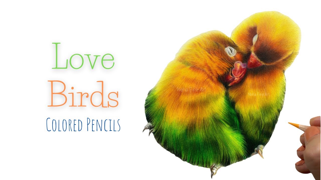Love Birds- A Colored Pencil Drawing #coloredpencils - YouTube