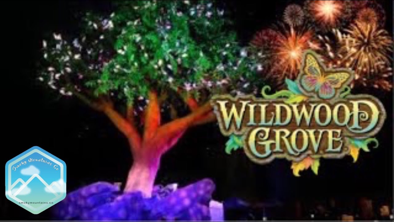 Wildwood Grove Tree at Night - YouTube