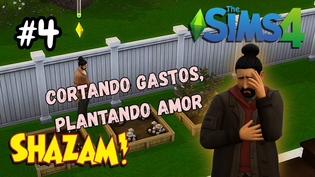 SEM GRANA, COM CARINHO: A LUTA DA FAMÍLIA SHAZAM - A FAMÍLIA SHAZAM ...