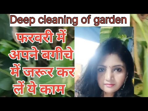 Deep Cleaning In Garden 🏡। फ़रवरी में अपने बगीचे में जरूर करें ये काम। #gardening #youtube # ...