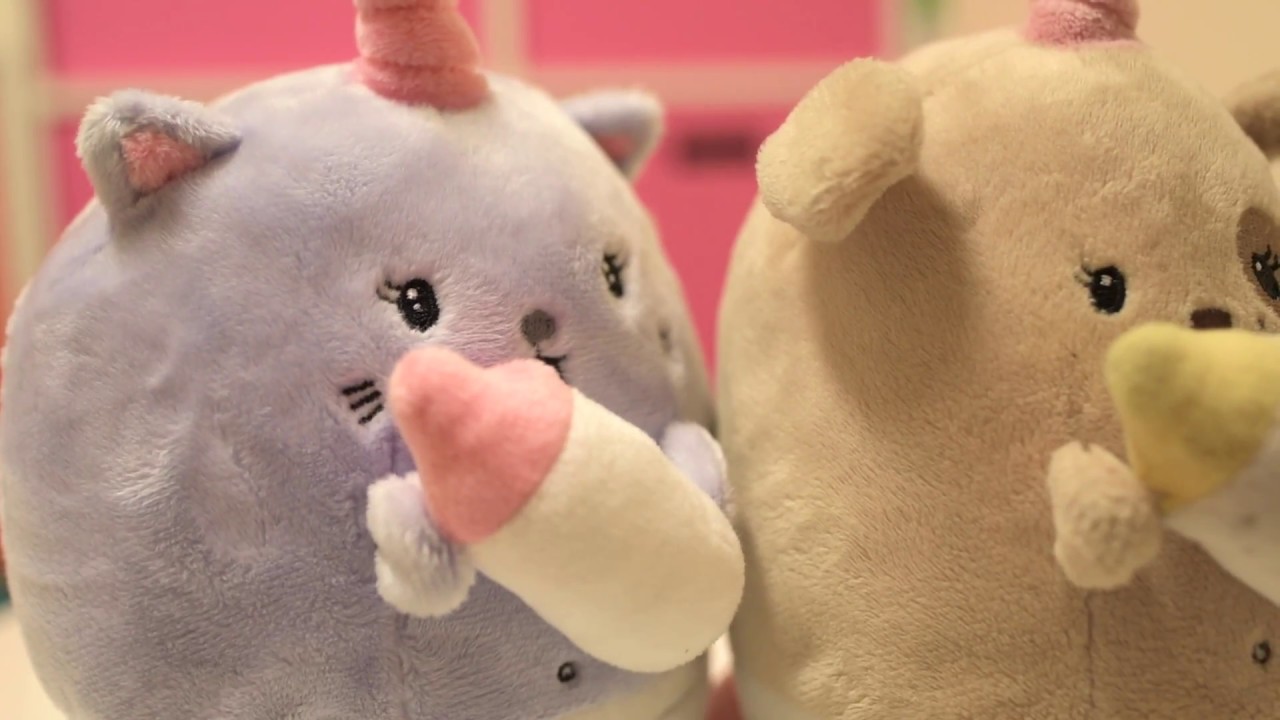 Kittycorn unboxing and review! Better than Puppycorn!?! - YouTube