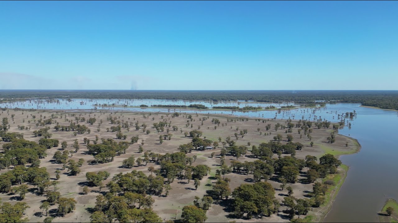 From Wetland to Wasteland: Drone Footage of a Dry Henderson Swamp After ...