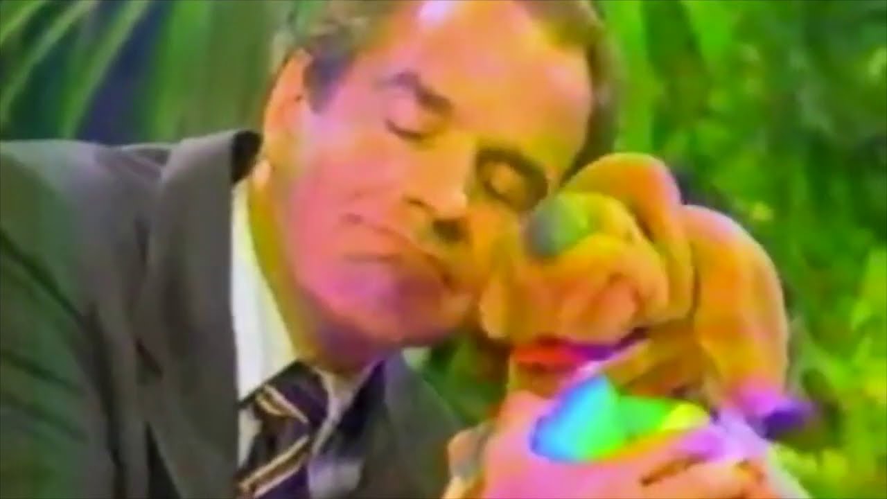 Talking Wrinkles Soft Electronic Dog - 1987 Commercial - YouTube
