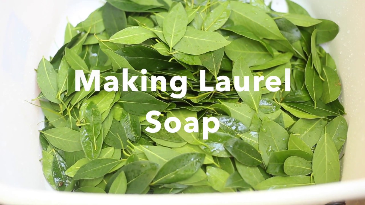 Making and cutting Laurel soap - YouTube
