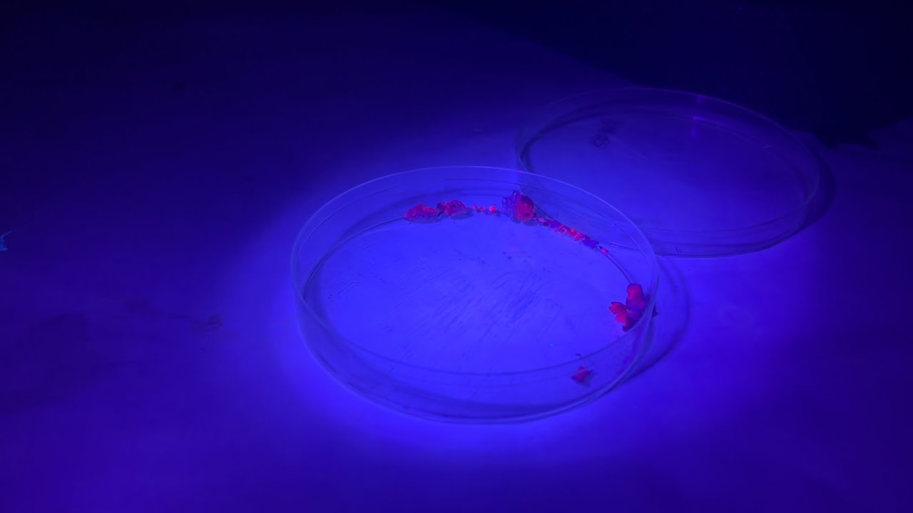 Making More RUBIES With My MICROWAVE - YouTube