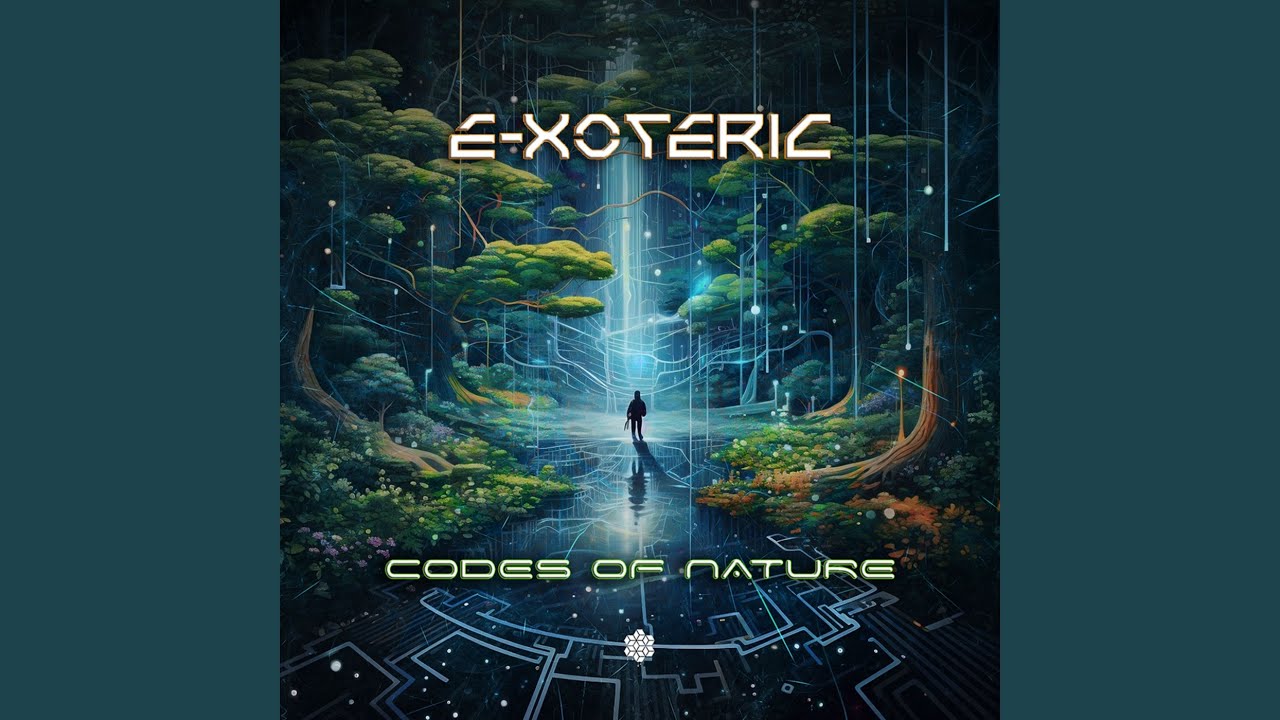 Codes Of Nature - YouTube