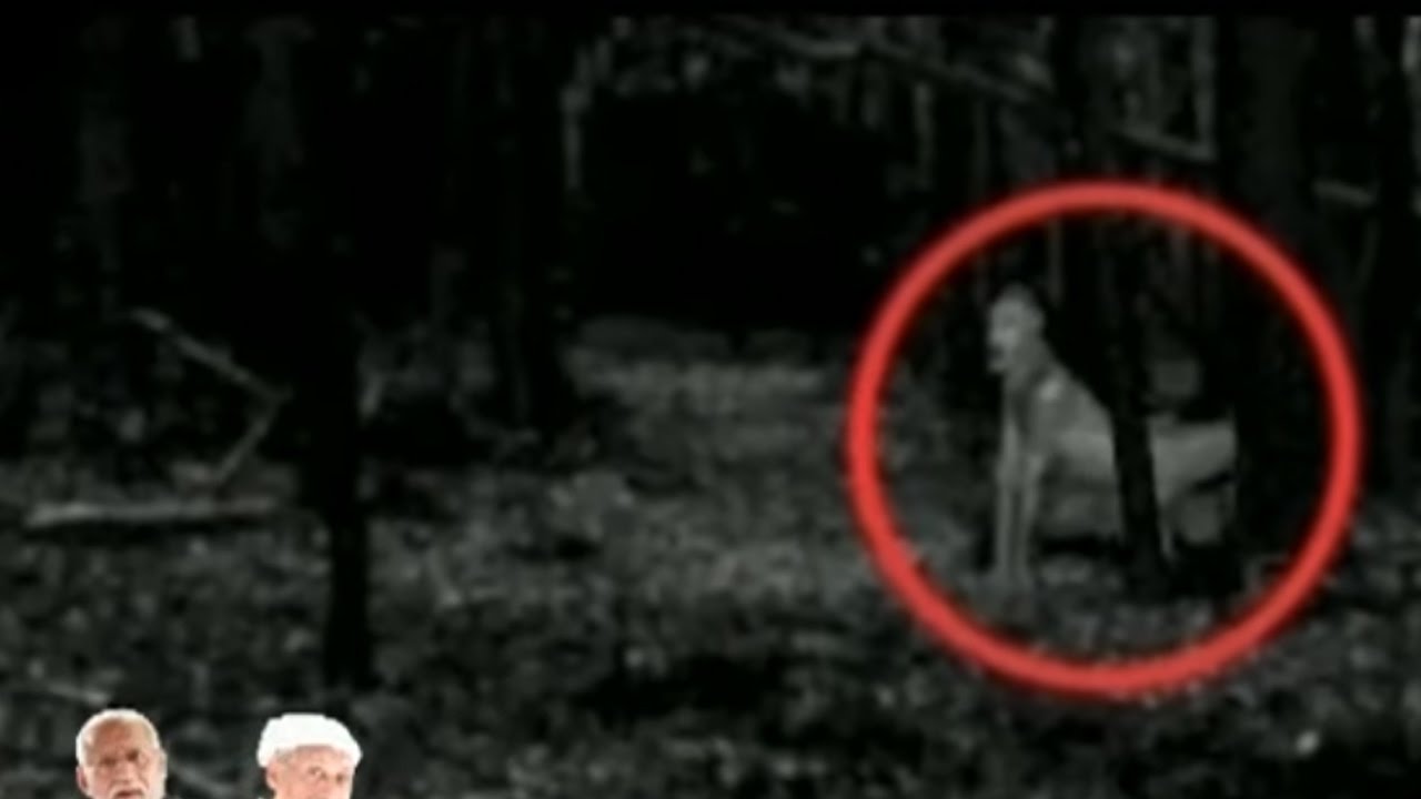 Very dreadful creature | Woh Kya Hai 13 November 2016 | Express News ...