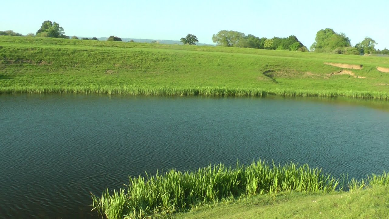 551 A novices foray into tench fishing Part 2 - YouTube