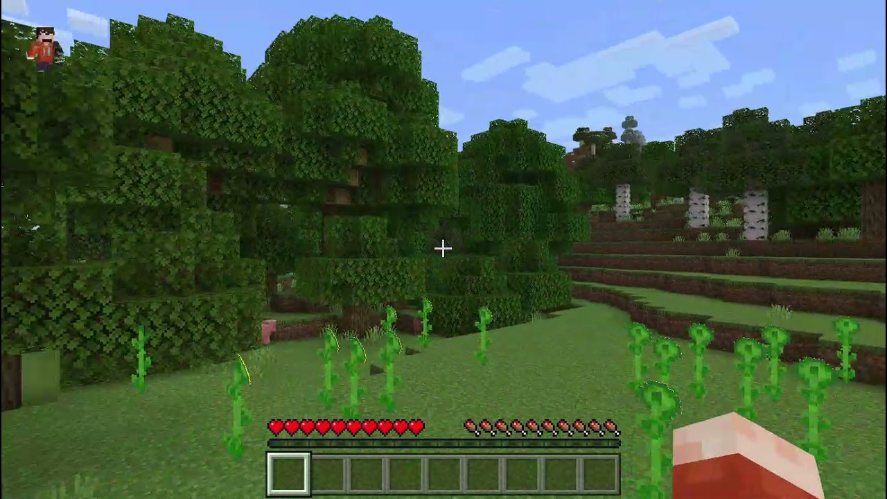 Where Do These Tree Come From YouTube where-do-these-tree-come-from-youtube