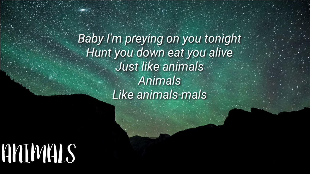 Maroon 5 ft J.cole - Animals (lyrics) - YouTube
