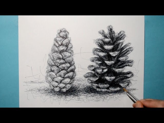 Pine Cone Pen Drawing
