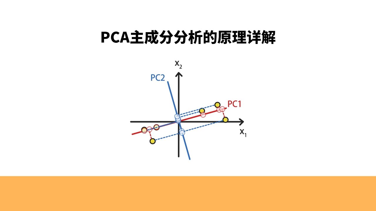 什么是降维算法,pca主成分分析的原理详解 Youtube