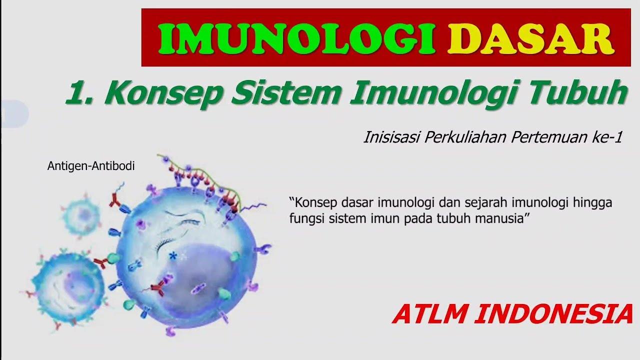 Konsep Dasar Sistem Imunologi Tubuh | D3 Teknologi Bank Darah TBD ...