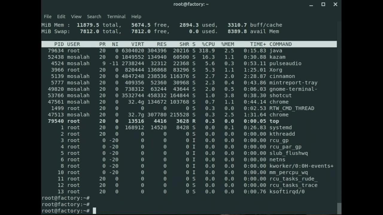 Top in Linux | Monitor System Performance in Real-Time with top - YouTube
