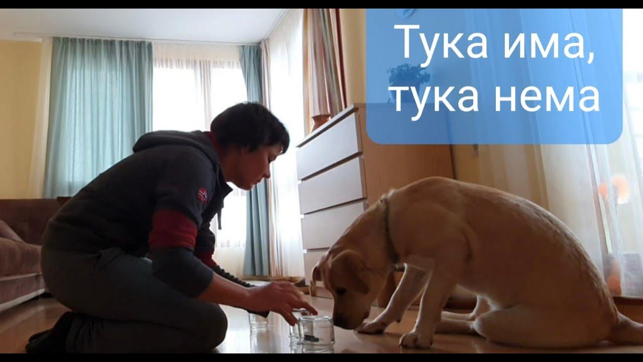 Тука има, тука нема - къде е лакомството? - еп. 13 - YouTube