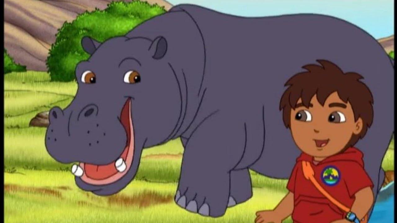 Go, Diego, Go! - 4x01 - Diego Reunites Hippo and Oxpecker [Best Moment ...