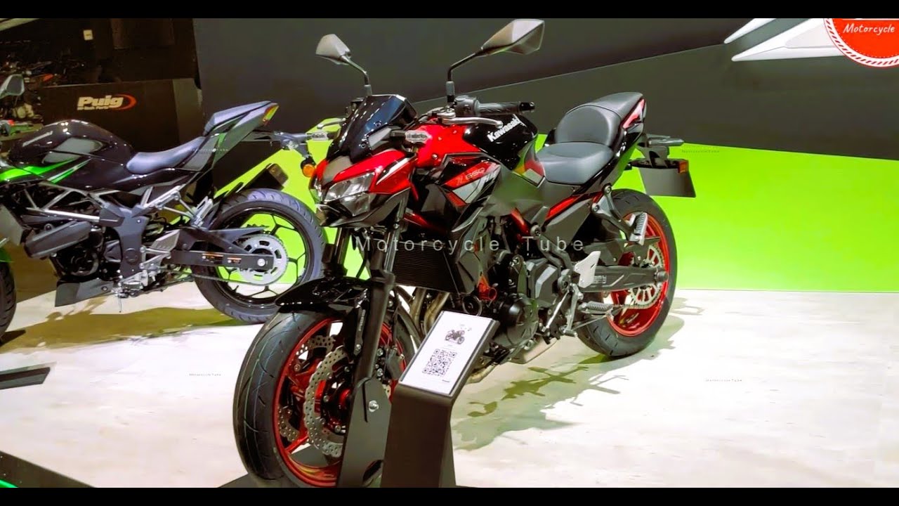 2024 Best Standard Motorcycles Top 10 - YouTube