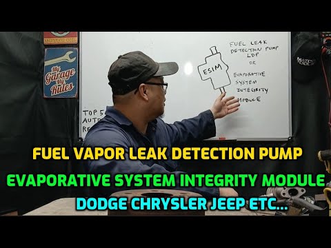 SIGNS OF A BAD ESIM (EVAPORATIVE SYSTEM INTEGRITY MODULE) FOR DODGE ...