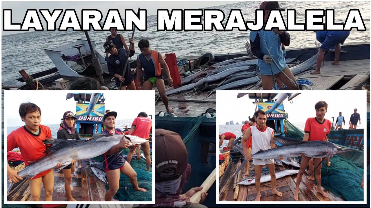 Ikan Layaran merajalela. Nelayan Prigi KM Primadona - YouTube