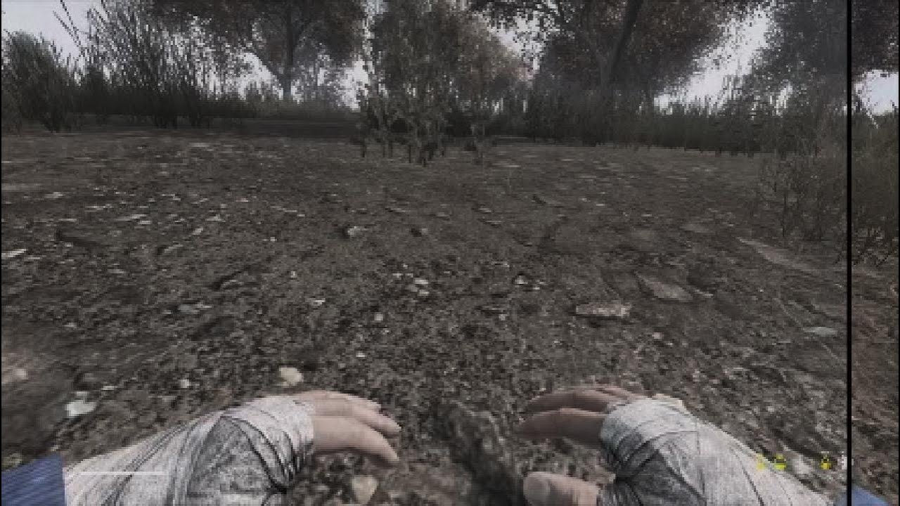 DayZ Experiment, 25 Apple Trees And 20 Minutes of Waitin For Apples to ...