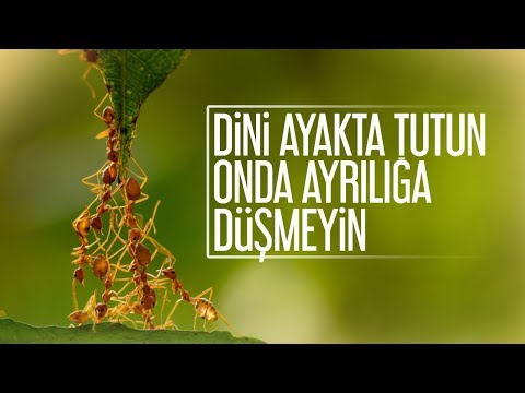 Dini Ayakta Tutun ve Onda Ayrılığa Düşmeyin | Tevhid Dergisi | Sesli Makale