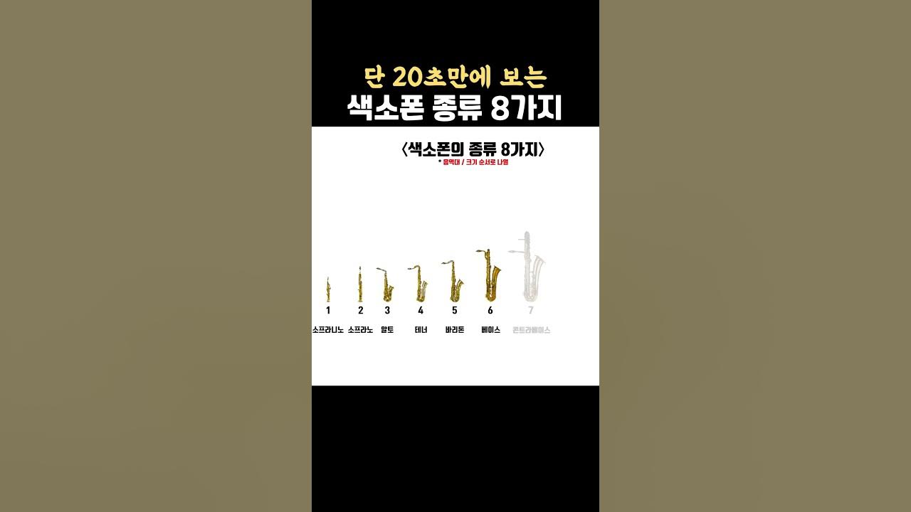색소폰 종류 몇가지나 알고 있나요🎷 Youtube