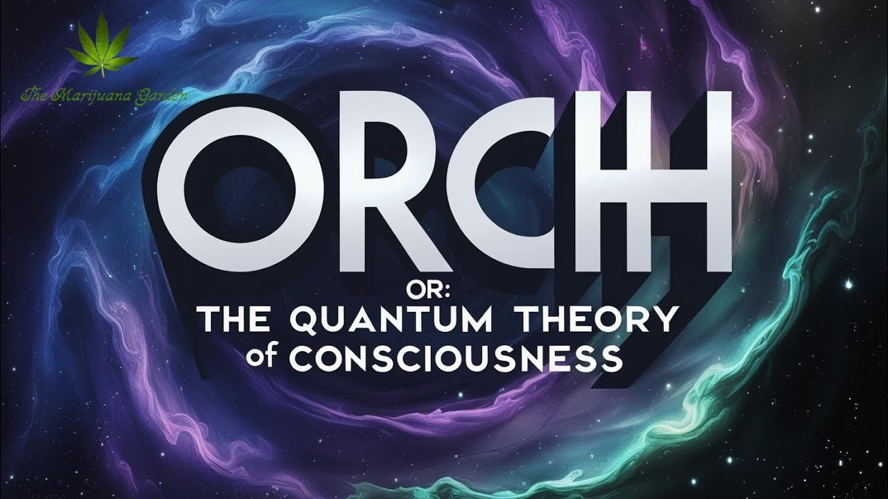 Orch OR: The Quantum Theory of Consciousness - YouTube