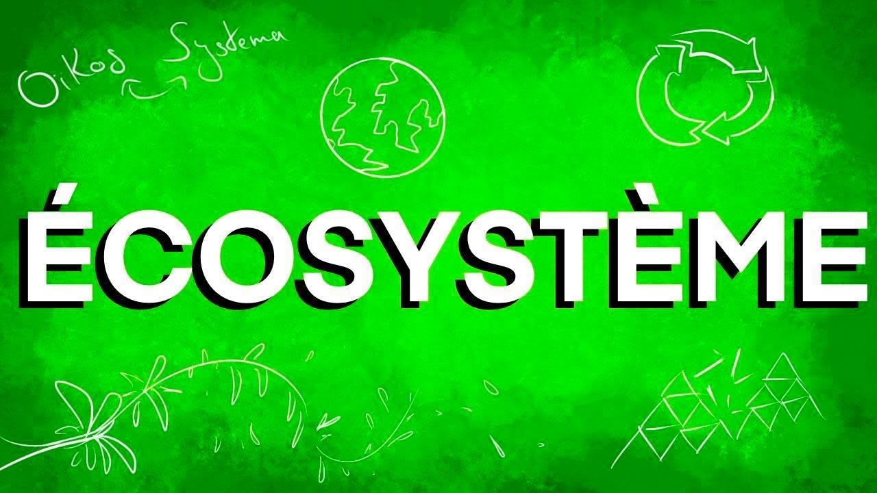 Un ECOSYSTEME, C'est Quoi ? - YouTube