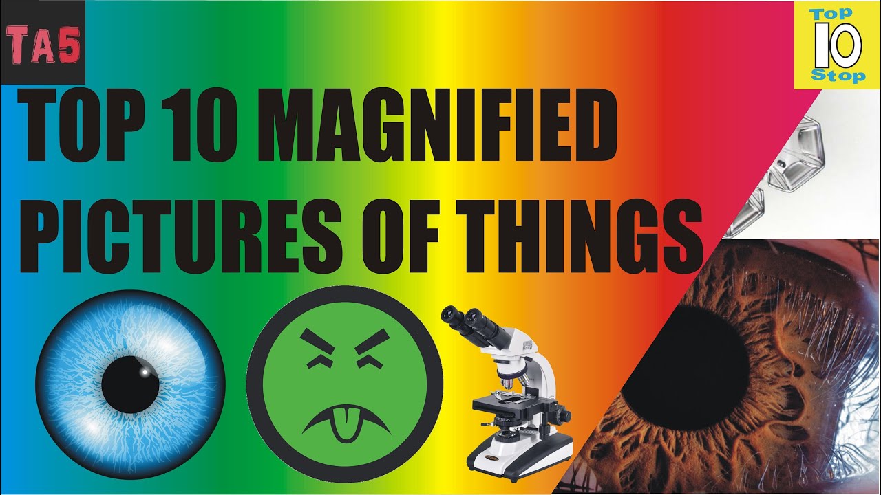 Top Ten Magnified Pictures of Things - TA5 TopTenStop - YouTube