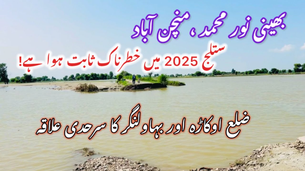 📍 Sutlej River Flood 2025 | Village at Okara–Bahawalnagar Border ...