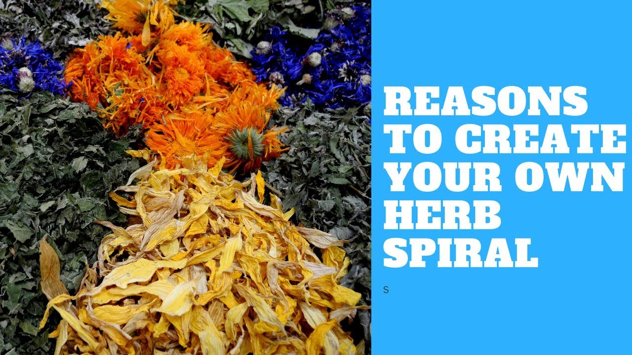 Reasons To Create Your Own Herb Spiral - YouTube