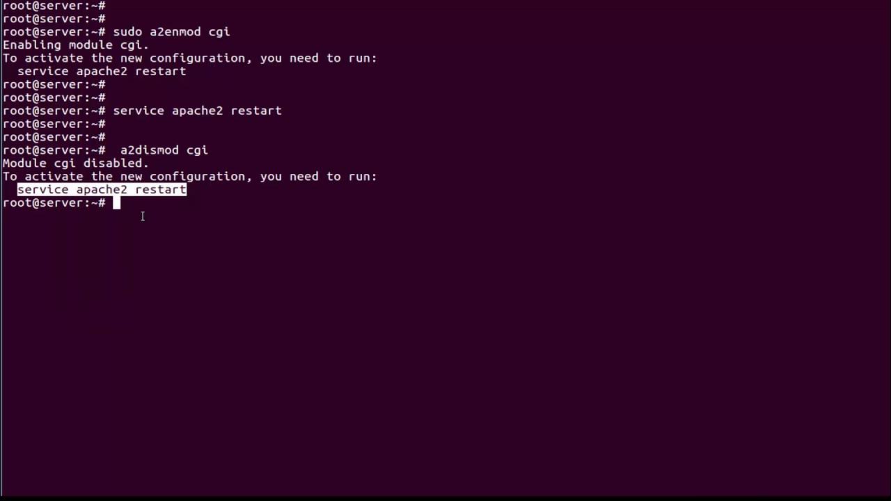 How To Enable or Disable CGI Scripts in Apache - YouTube
