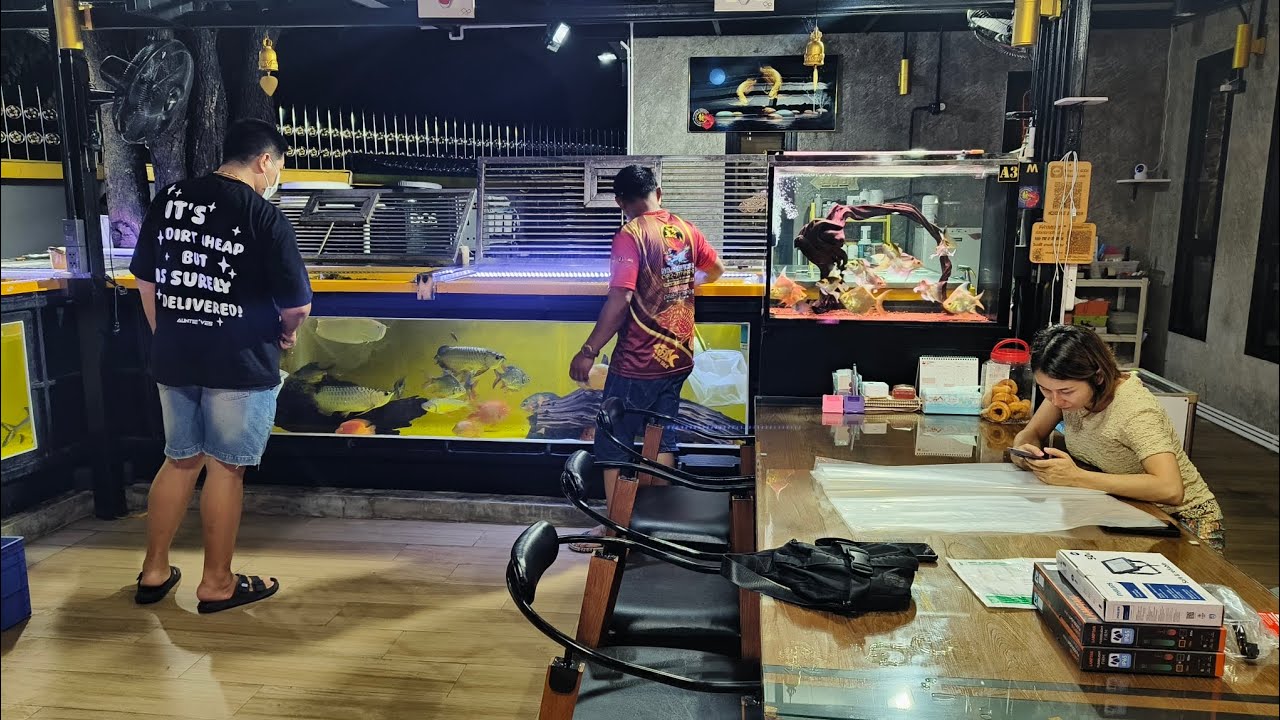 NC. World พระราม 2 - วันนี้คุณนัทกระทุ่มแบน มารับกลับบลูเบสใหญ่ 1 เสือเขมรใหญ่ 2 ที่บ้าน NC. Set ...