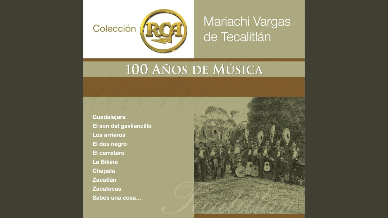 Bonito Tecalitlán - YouTube