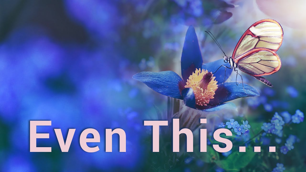 "Even This…" with Dr. Hope Beale - YouTube